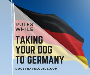 Taking A Dog To Germany: Rules & Regulations - Dogs Travel Guide