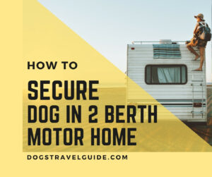 How To Secure A Dog In 2 Berth Motorhome? - Dogs Travel Guide