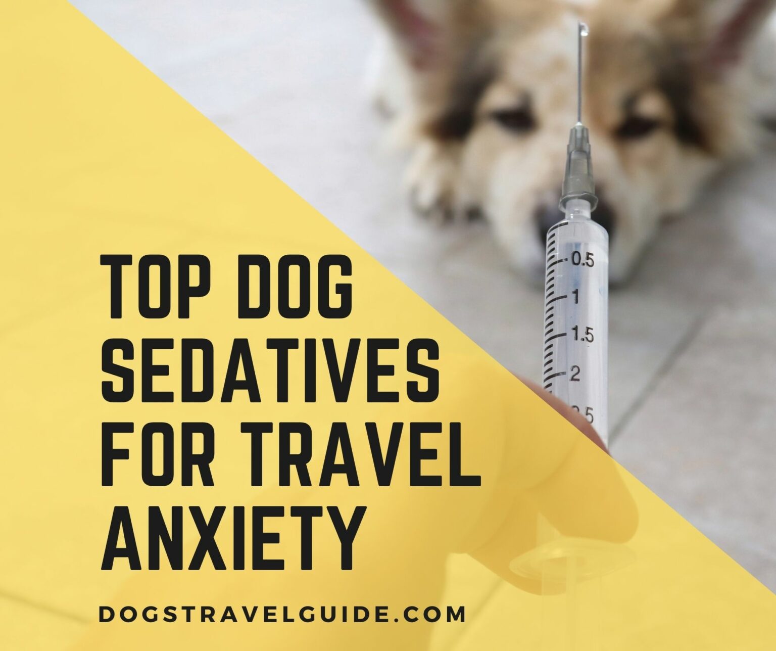 5 Natural Dog Sedatives for Travel Anxiety - Dogs Travel Guide